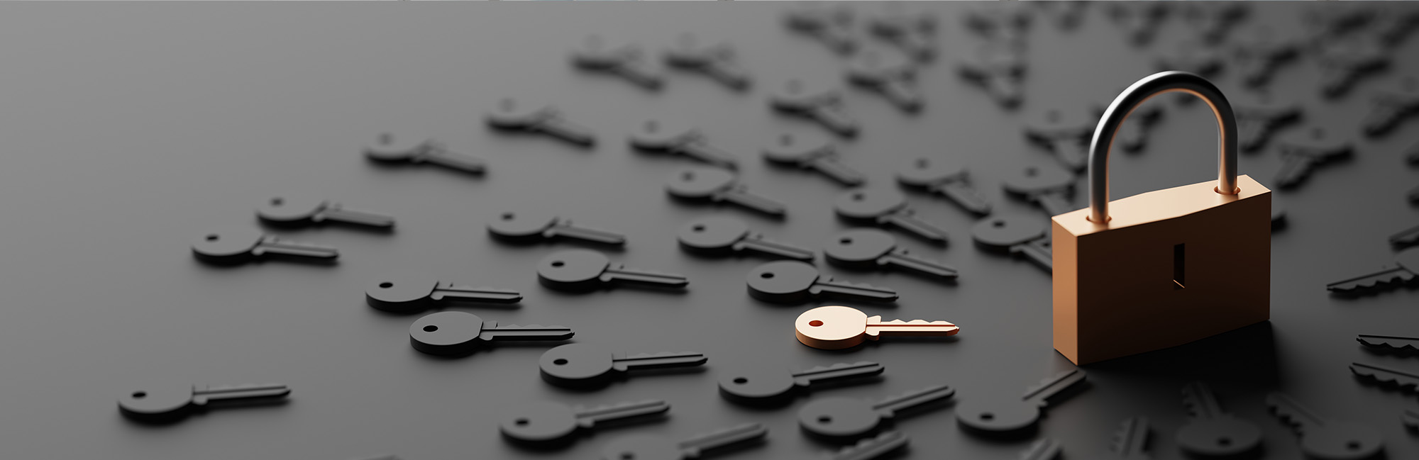 Risks of Granting Local Admin Rights to Users